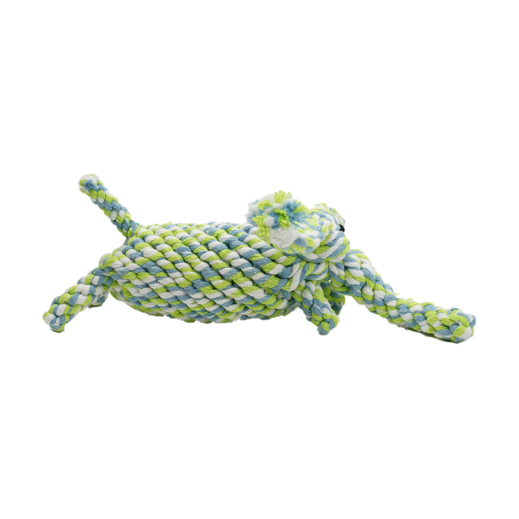 Abby the Elephant – Define Planet